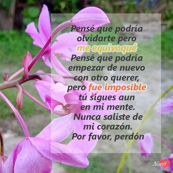 ≫ Poemas de Arrepentimiento: 10 Formas de Pedir Perdón con Palabras del ...